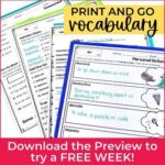 3rd Grade Vocabulary PRINT & DIGITAL BUNDLE - Greek & Latin Roots ...